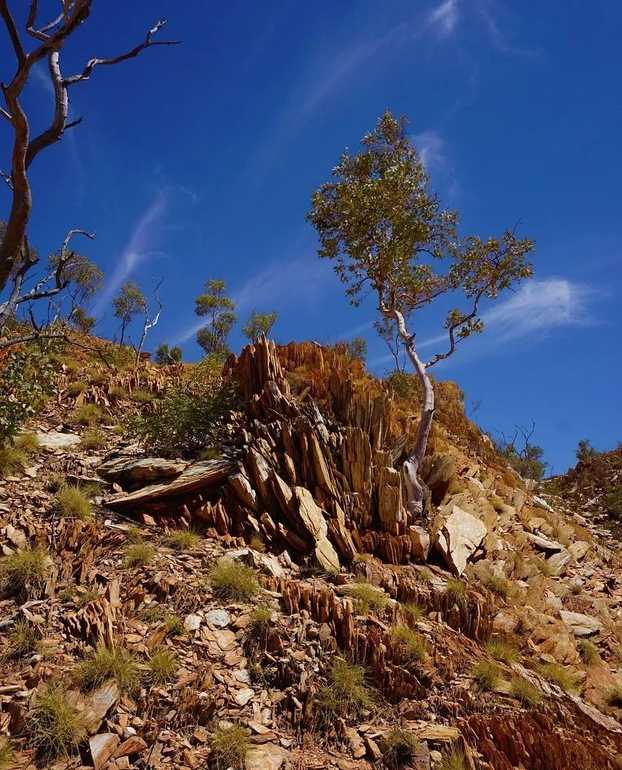Cost of Living in Mount Isa - Prices & Expenses. May 2026 | CityCost