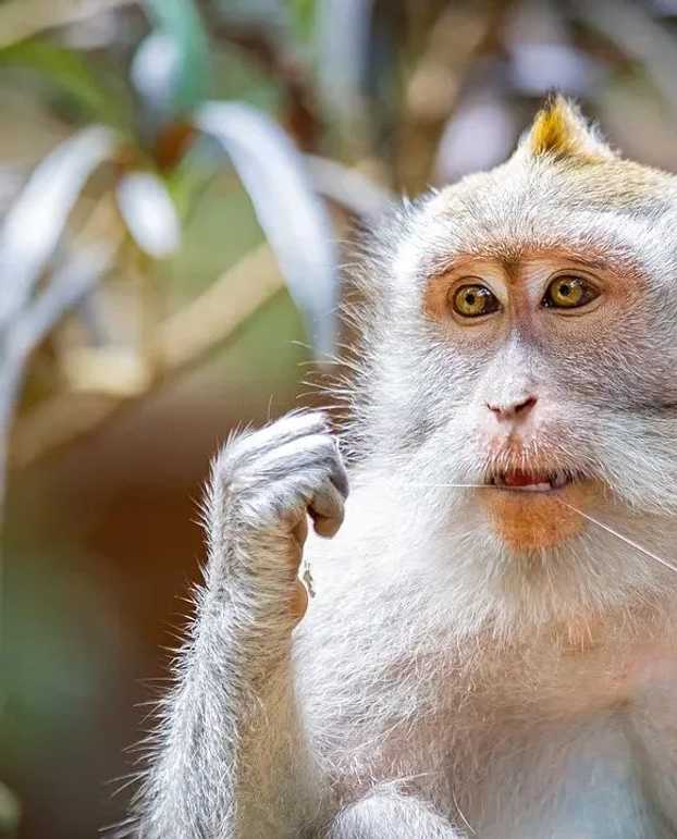 Cost of Living in Perth - Prices & Expenses. Dec 2025 | CityCost