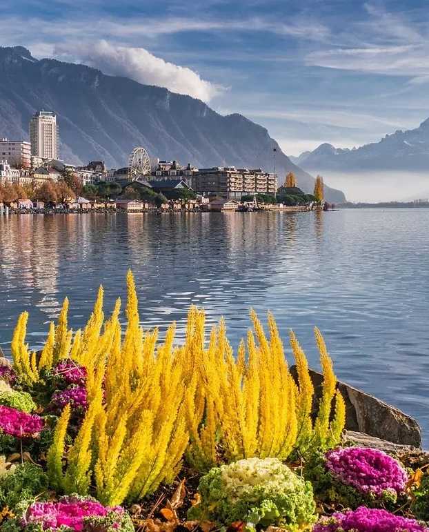 Cost of Living in Geneva - Prices & Expenses. Jan 2026 | CityCost